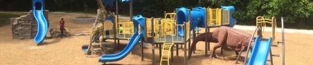 Dinosaur Theme Playground - Winston-Salem, NC | Cunningham Recreation