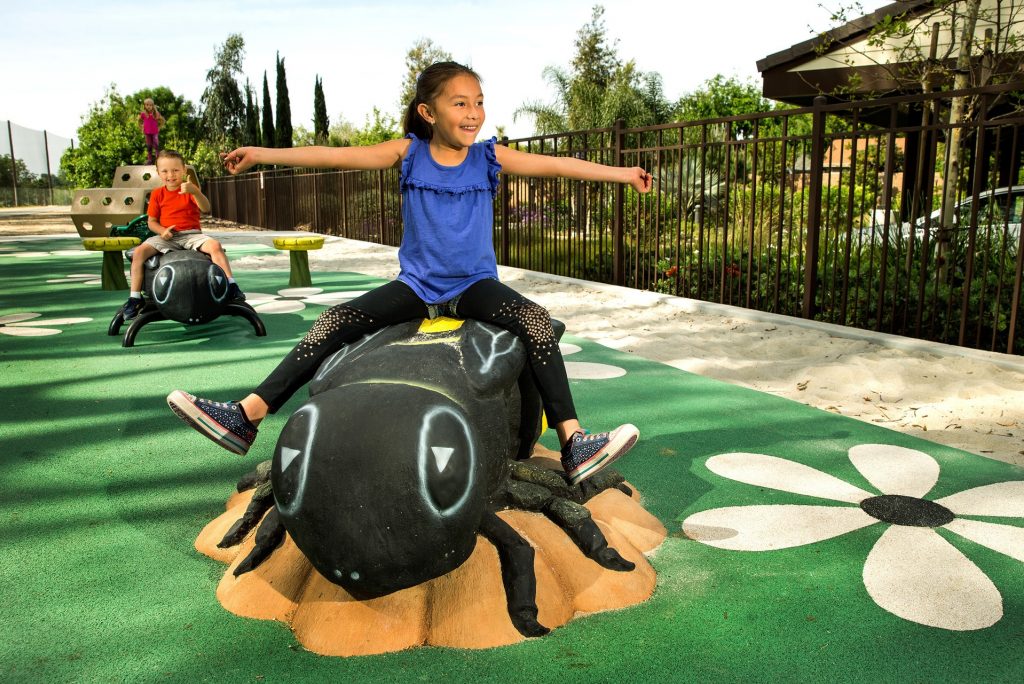 Programs & Research | Dominica Recreation Products